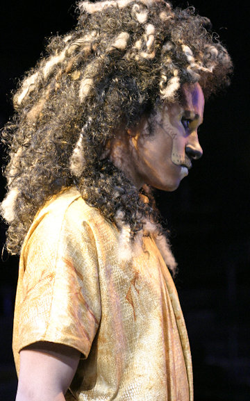 The Lion, The Witch and the Wardrobe 2004